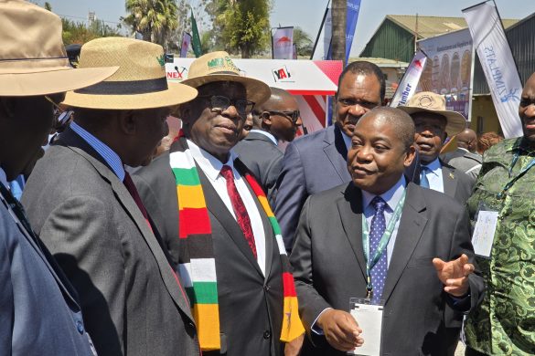 Here’s a comparison of pass rates for Zimbabwe based on available ...