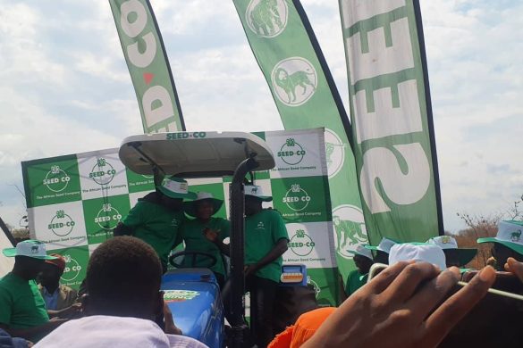 Rains Refill Zimbabwe’s Lifeline as Dam Levels Surge, Bolstering Food ...